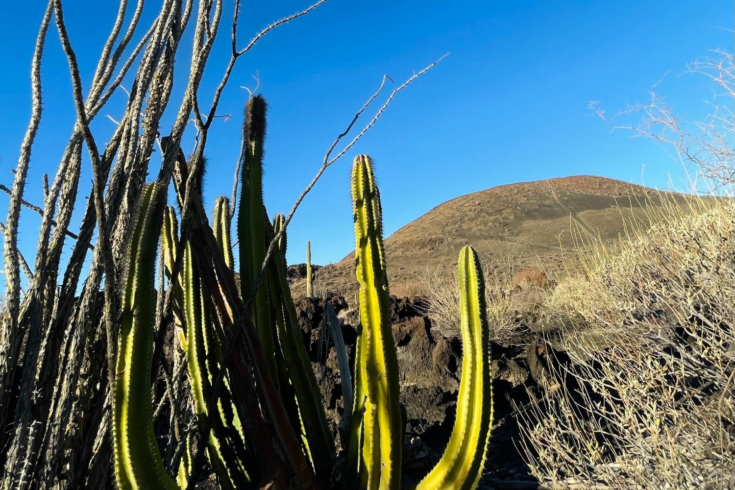 El Pinacate Biosphere Reserve | Rocky Point Activities and Attractions